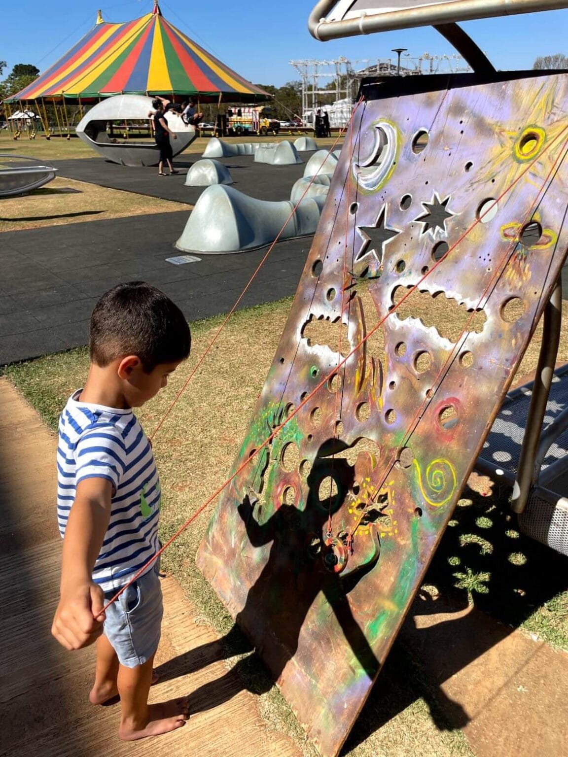 Aberta a temporada dos girassóis no DF - Saiba onde ver